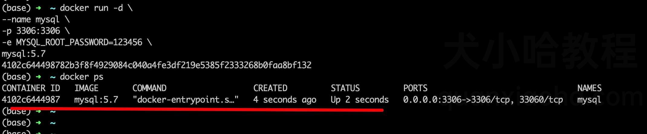 Docker 安装 Mysql 犬小哈教程