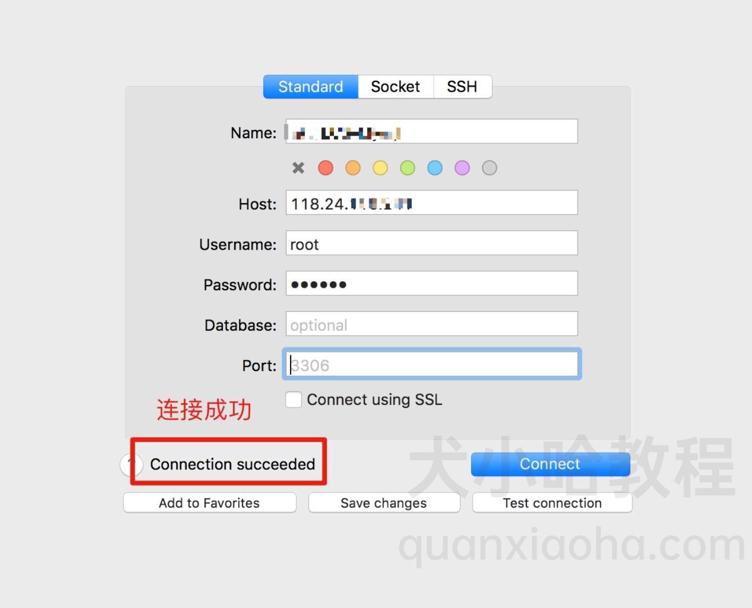 Docker 安装 Mysql 犬小哈教程