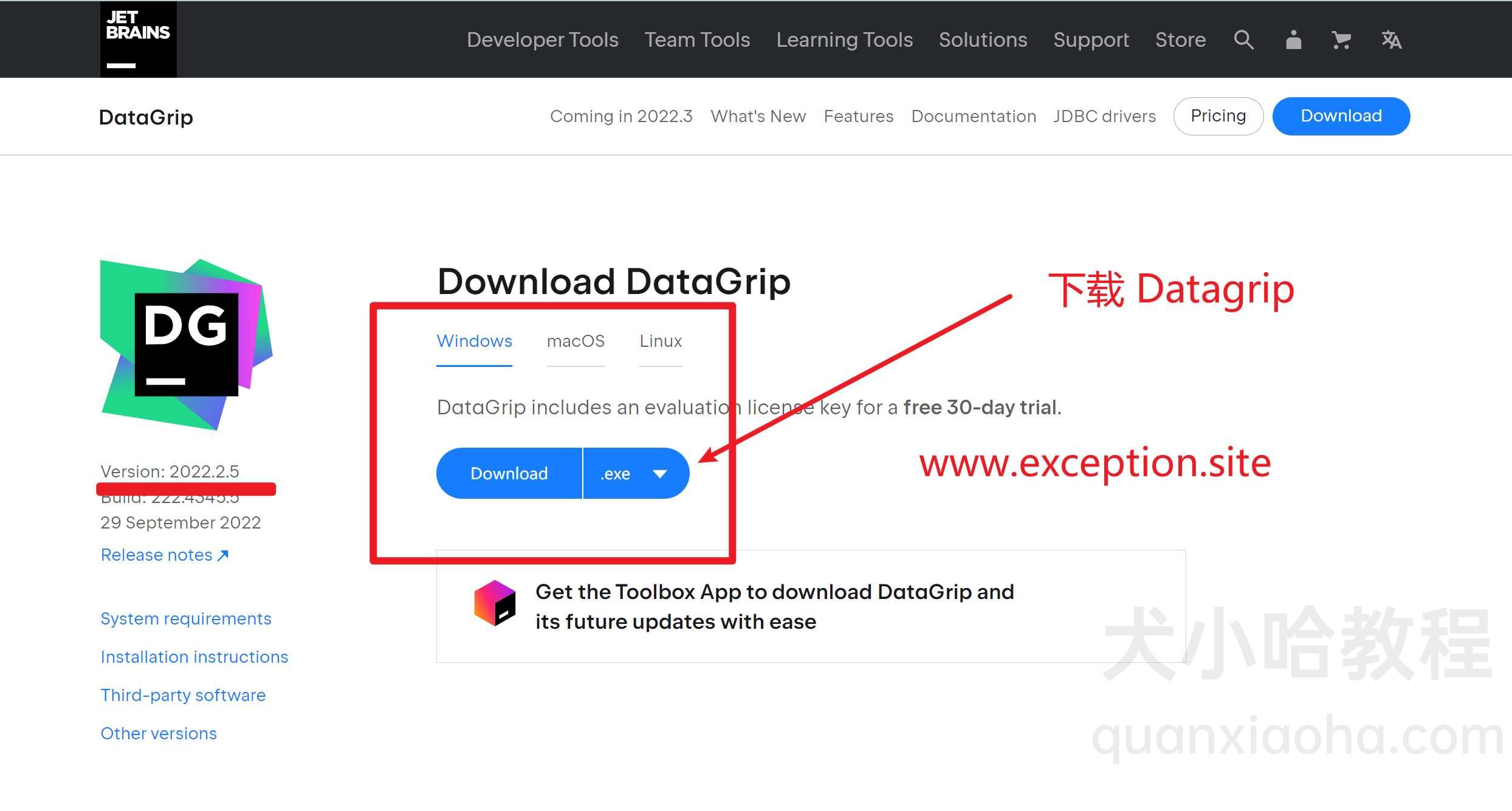 Datagrip 2022.2.5 激活码_破解教程（图文讲解，亲测有效） - 异常教程